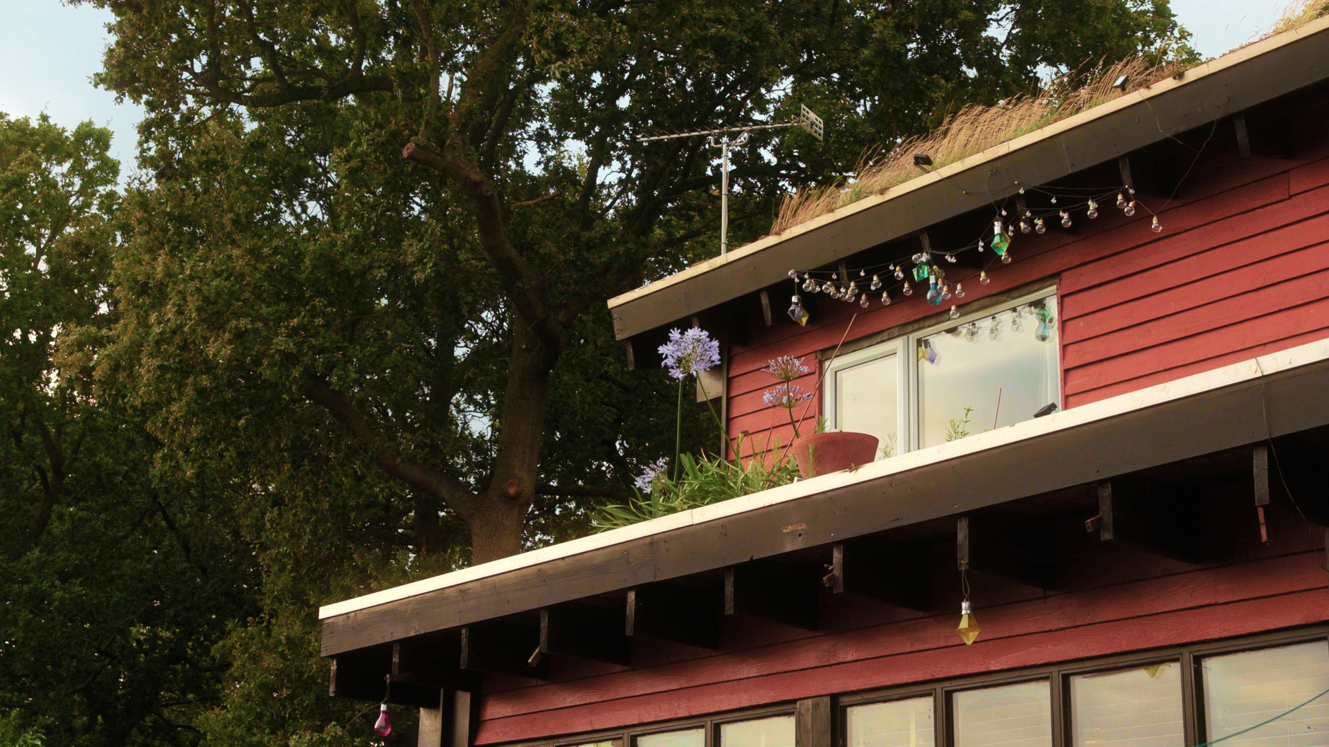 Nubia Way: a story of black-led self building in Lewisham | Shortverse