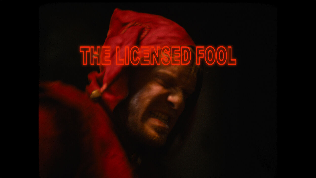 THE LICENSED FOOL | Shortverse