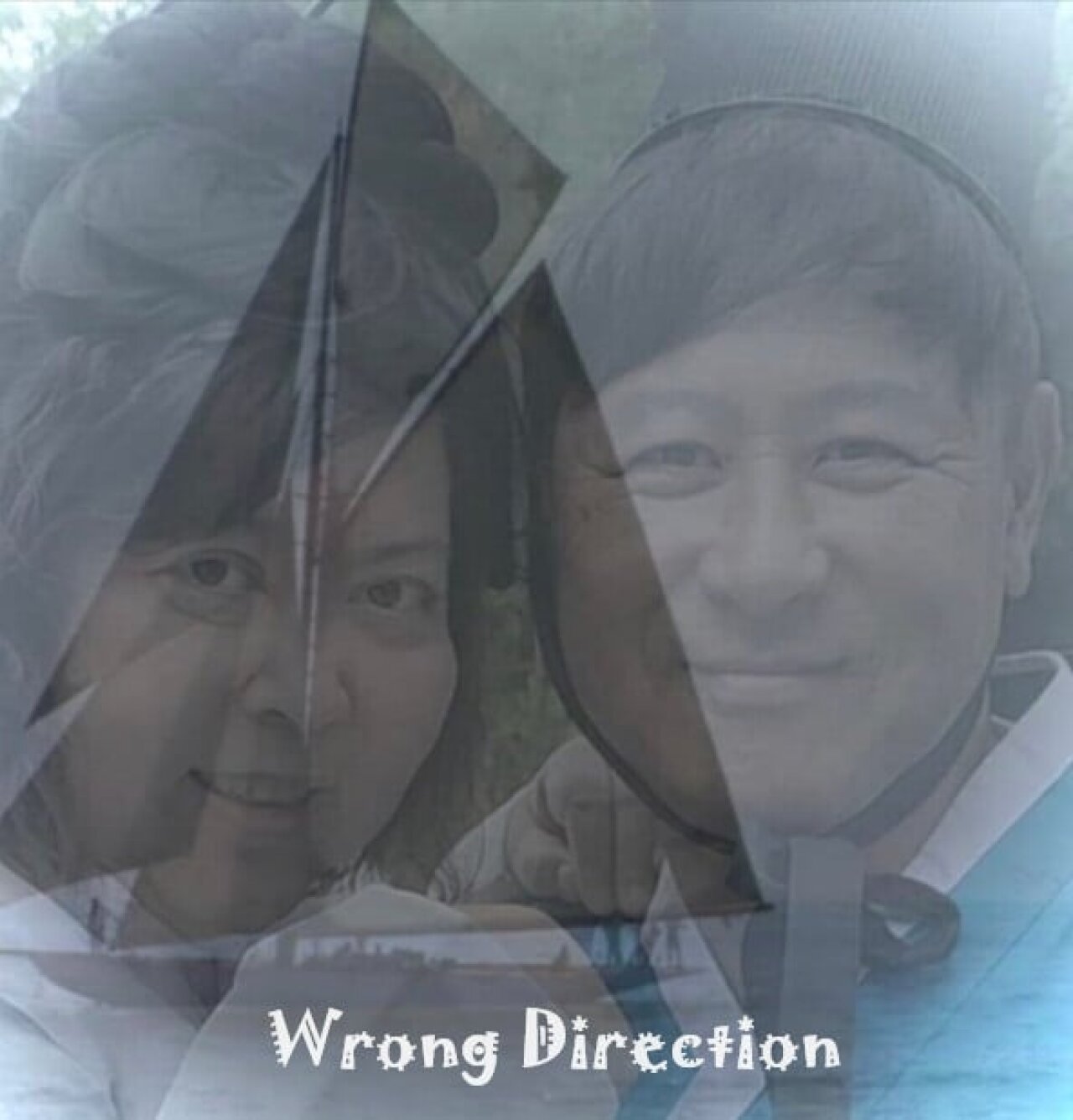 Wrong direction | Shortverse