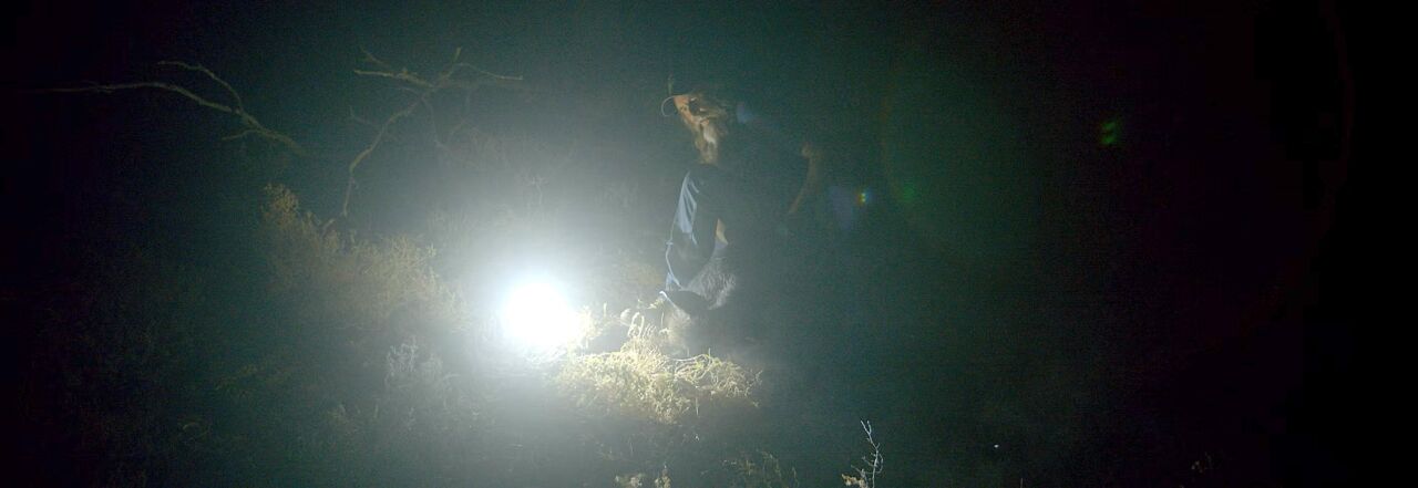 Chasing Roo | Shortverse