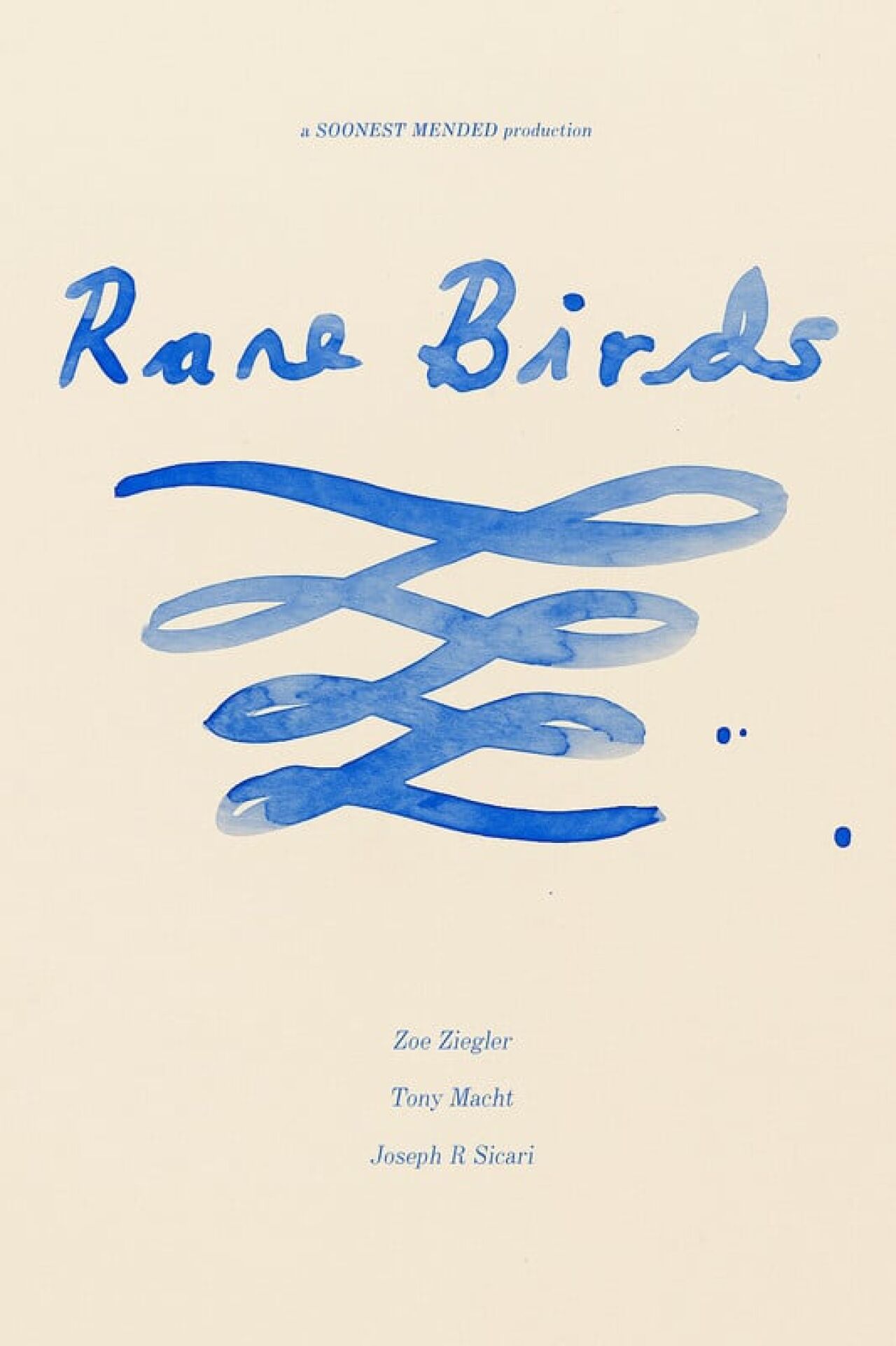 Rare Birds | Shortverse
