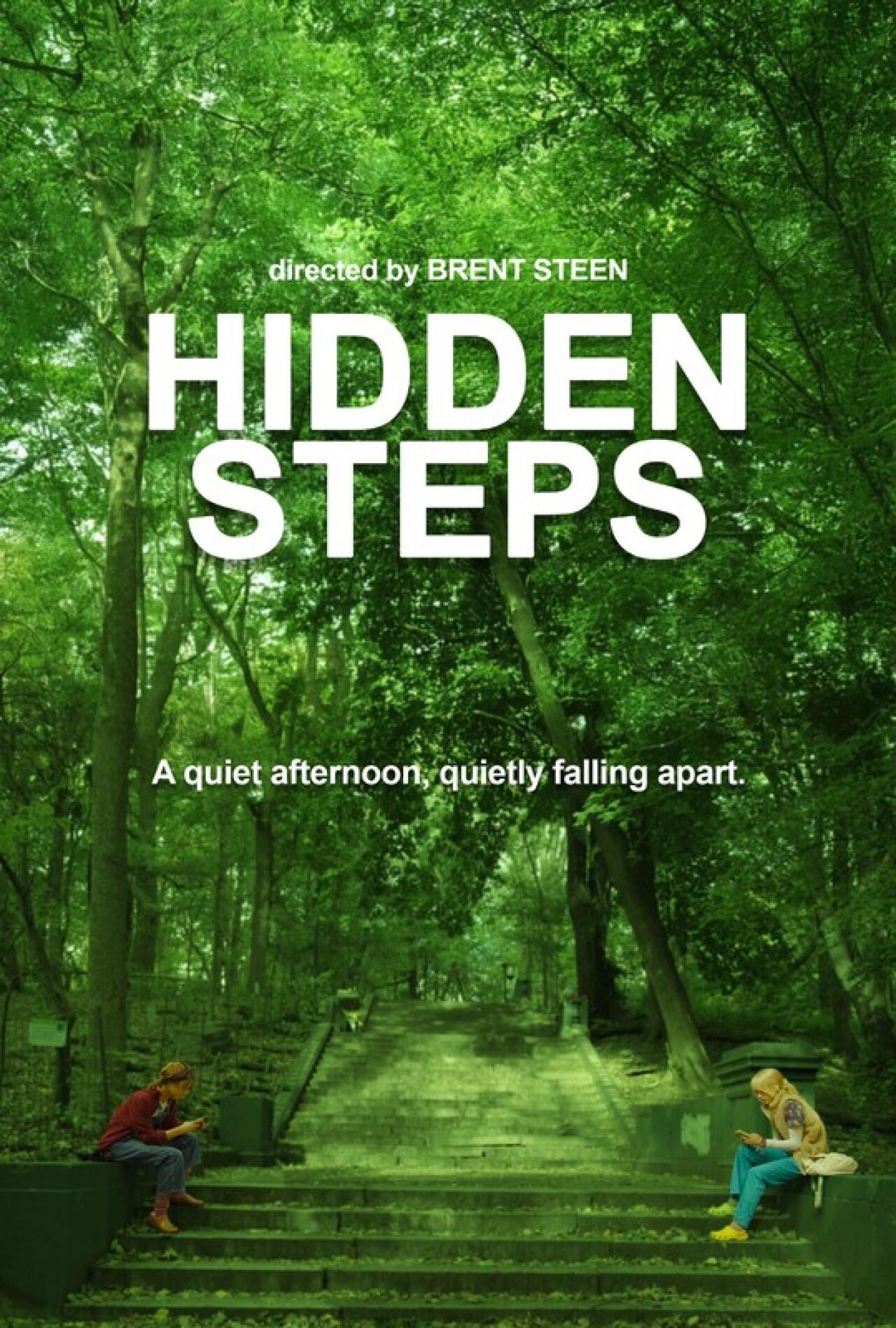 Hidden Steps | Shortverse