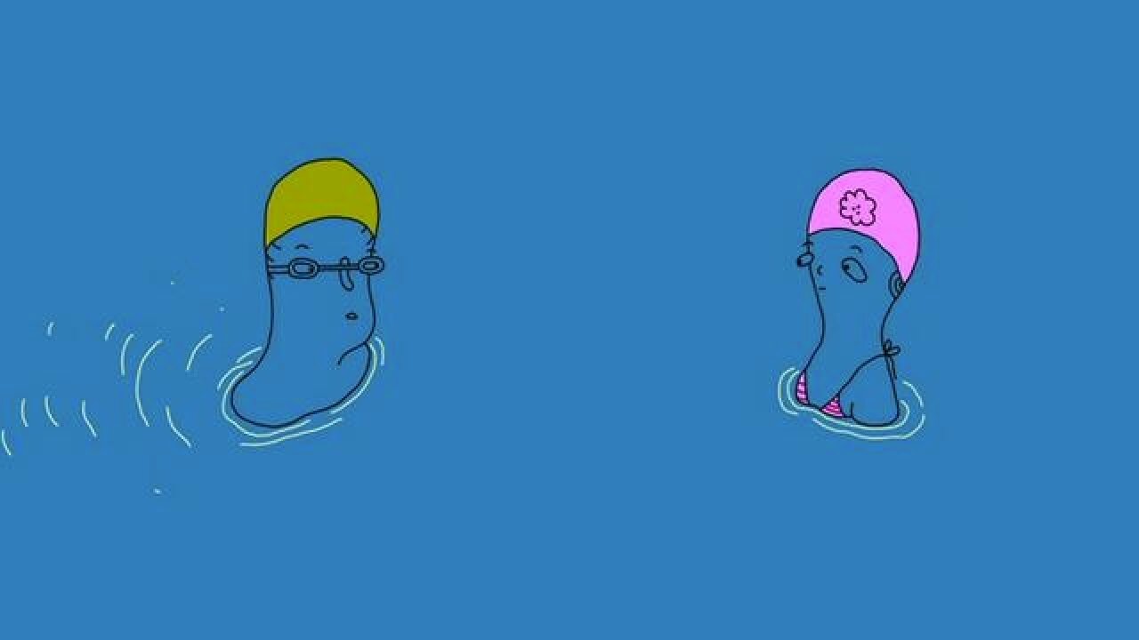 Swimming Pool | Shortverse