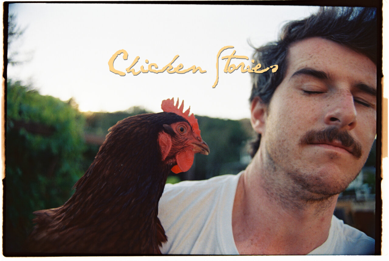 Chicken Stories | Shortverse