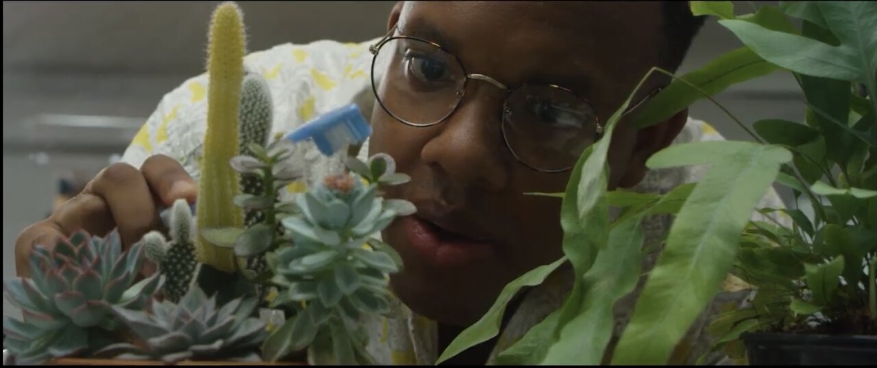 Plant Story | Shortverse