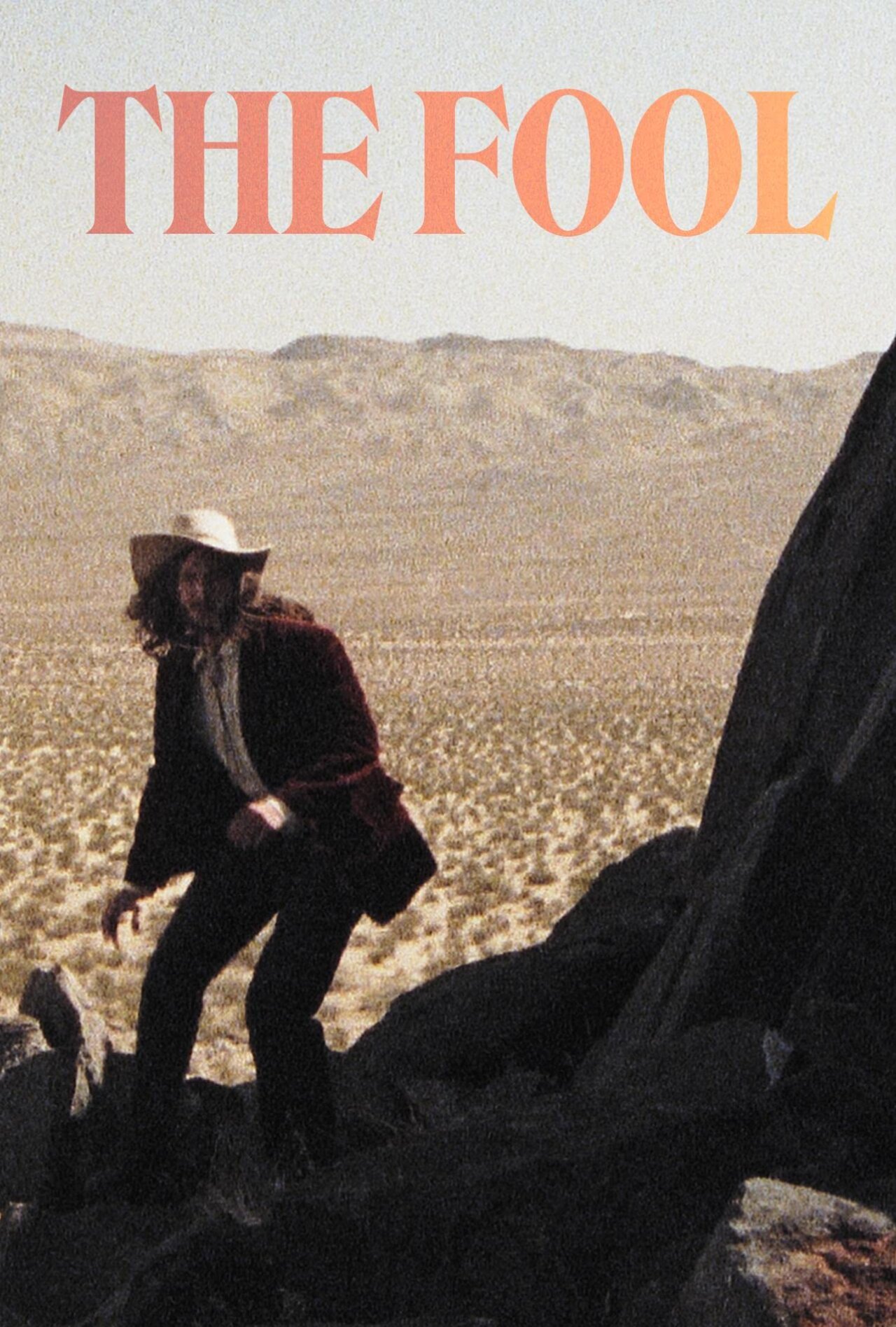 The Fool | Shortverse