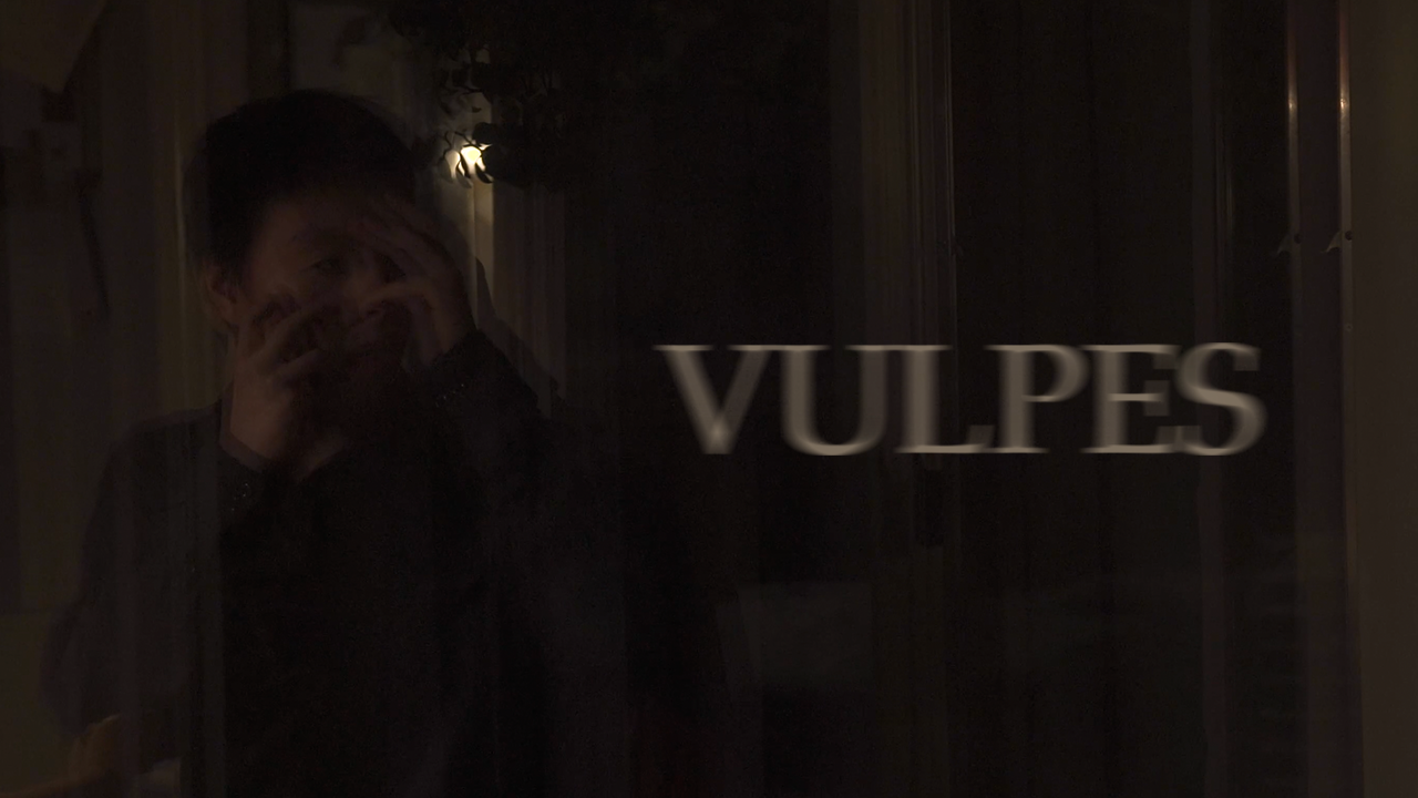 Vulpes Shortverse Vulpes Shortverse