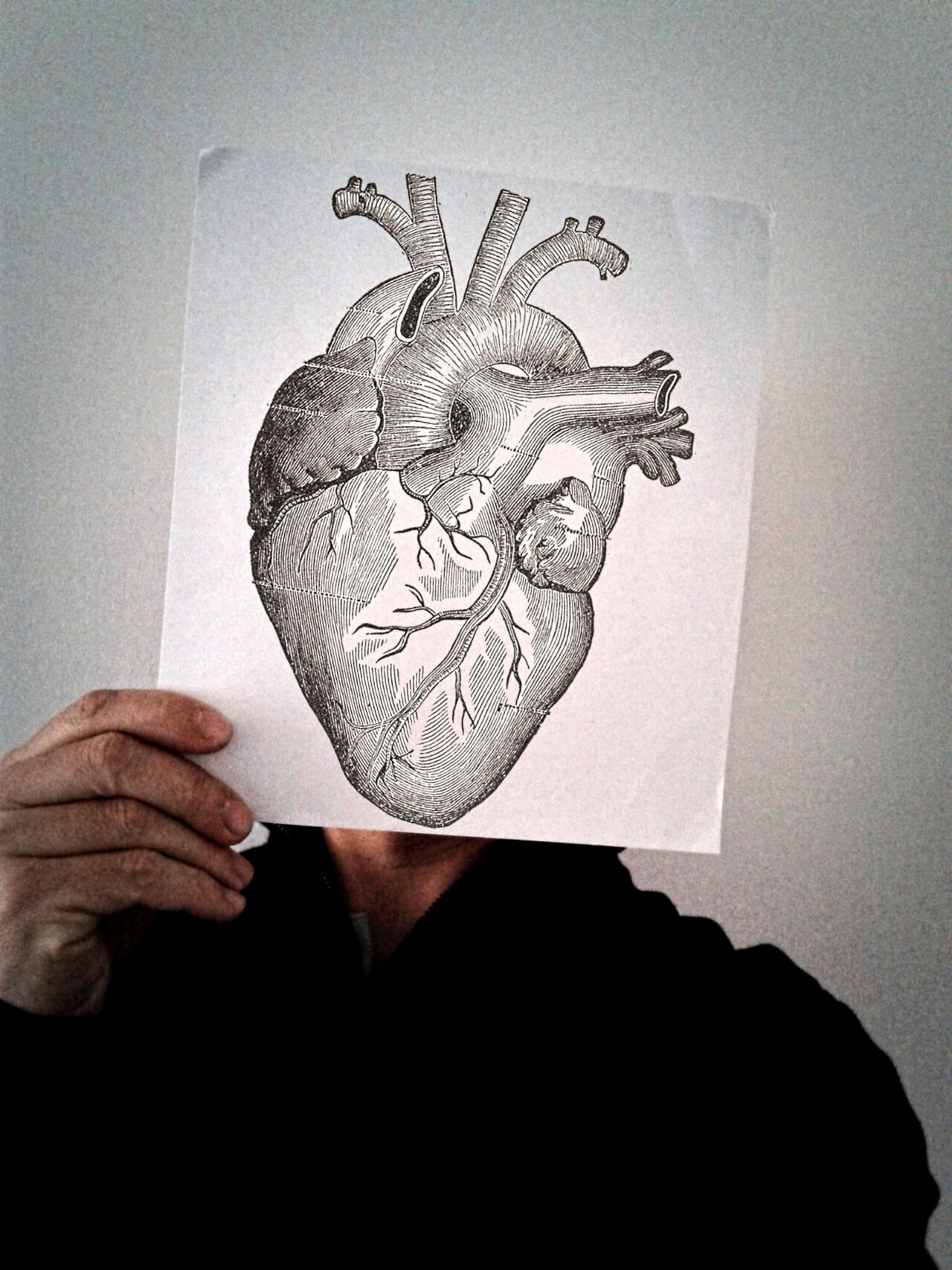 Jose Castaneda | Shortverse