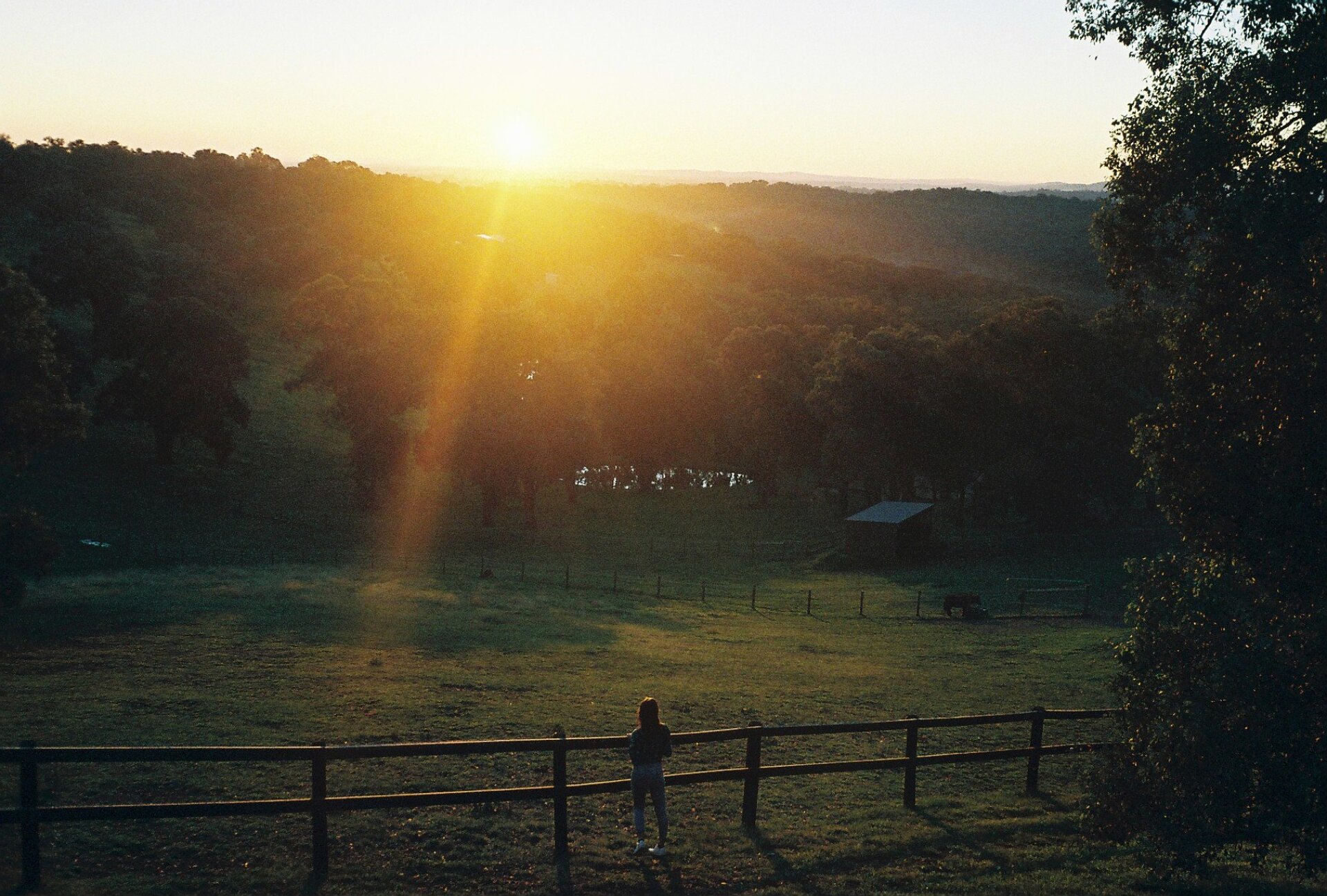 Ryan Gasparini | Shortverse