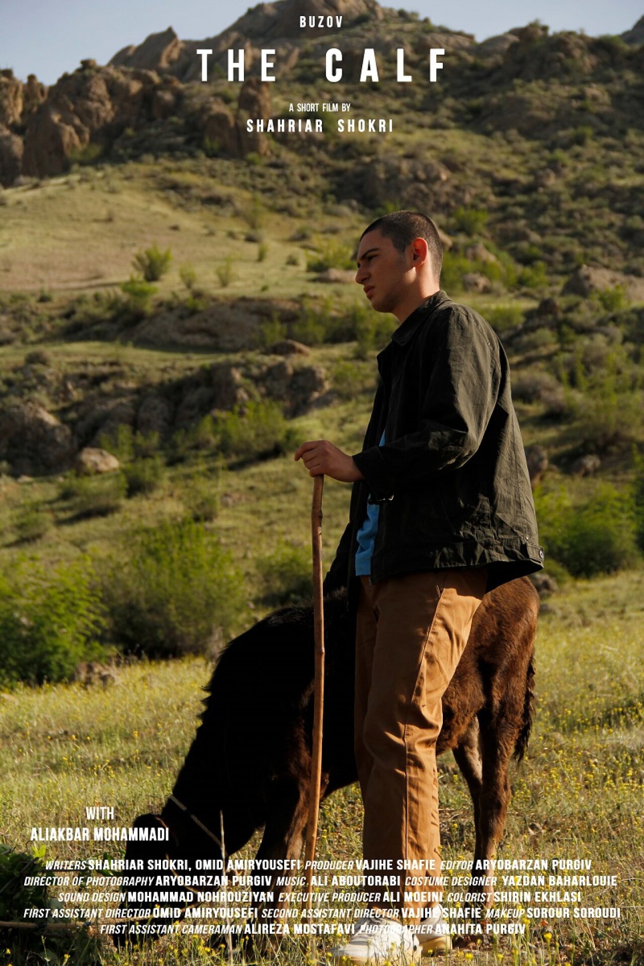 The Calf (Buzov) | Shortverse