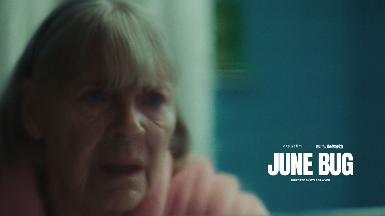 June Bug | Shortverse