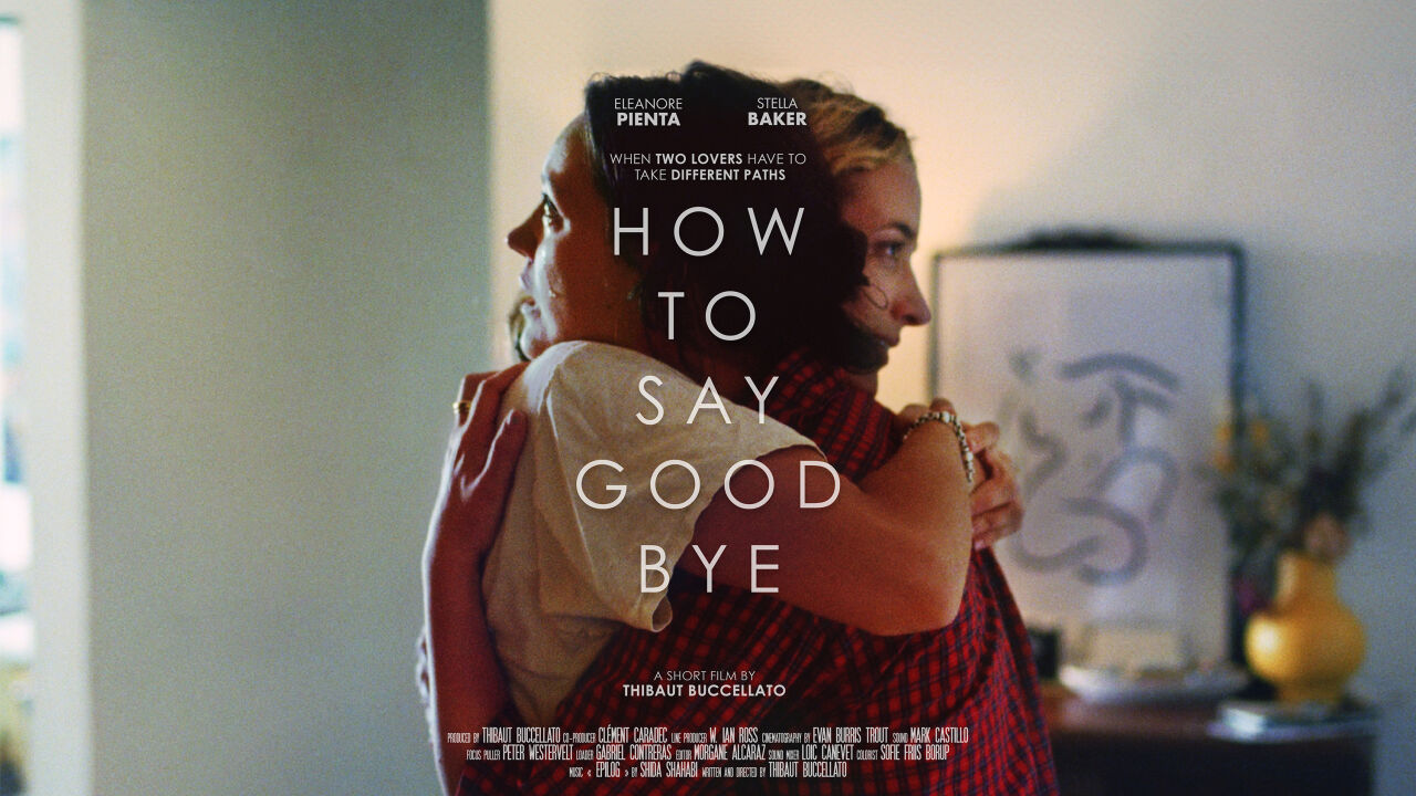 How to say goodbye | Shortverse