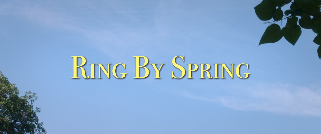 Ring by Spring | Shortverse