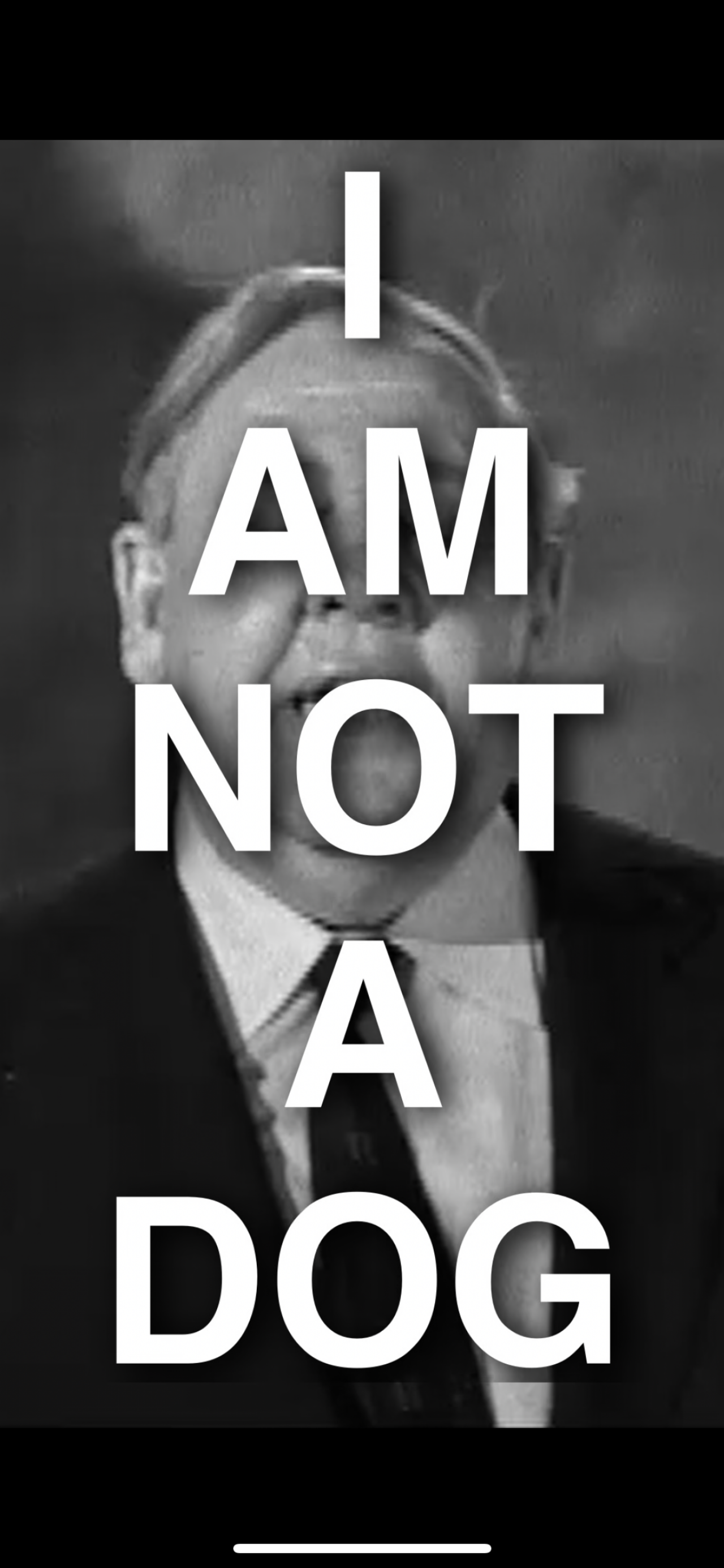I am not a dog | Shortverse