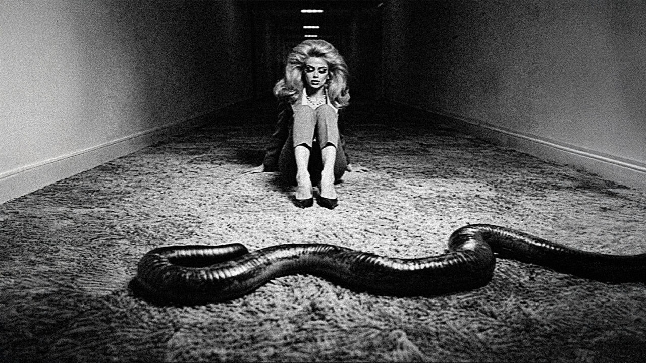 WORM | Shortverse
