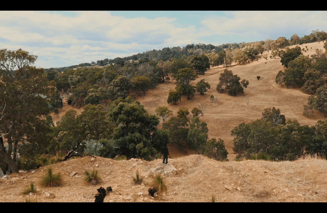 Growing Beyond | Shortverse