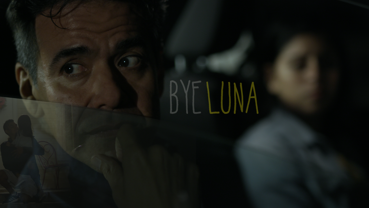 Bye Luna | Shortverse