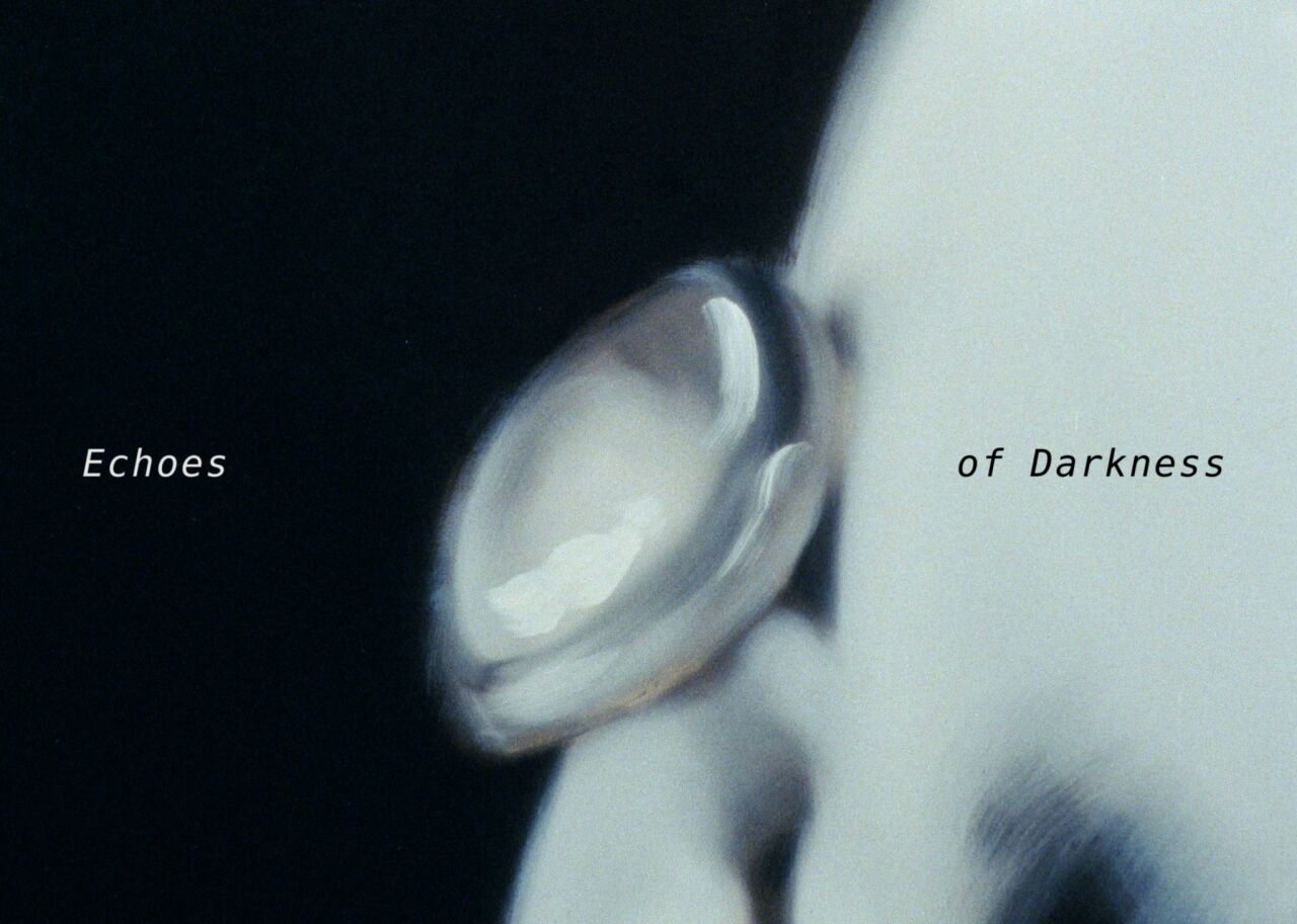 Echoes of Darkness | Shortverse